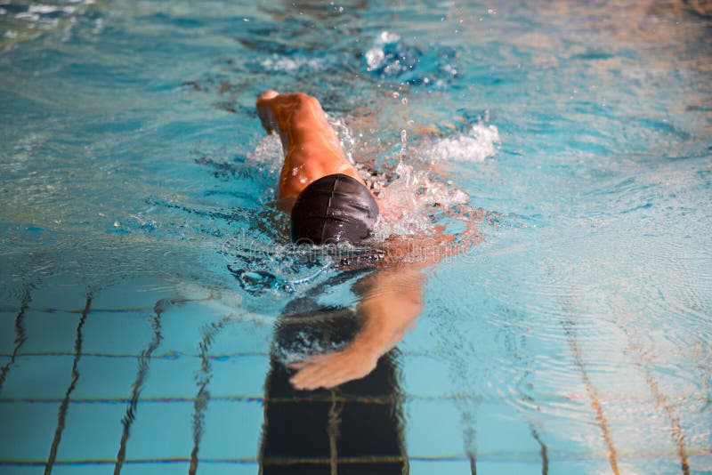Man Swims Front Crawl Style in Swimming Pool Stock Photo - Image of ...