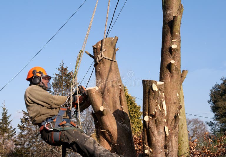 Man swinging from ropes stock image. Image of ropes, incision - 29030743