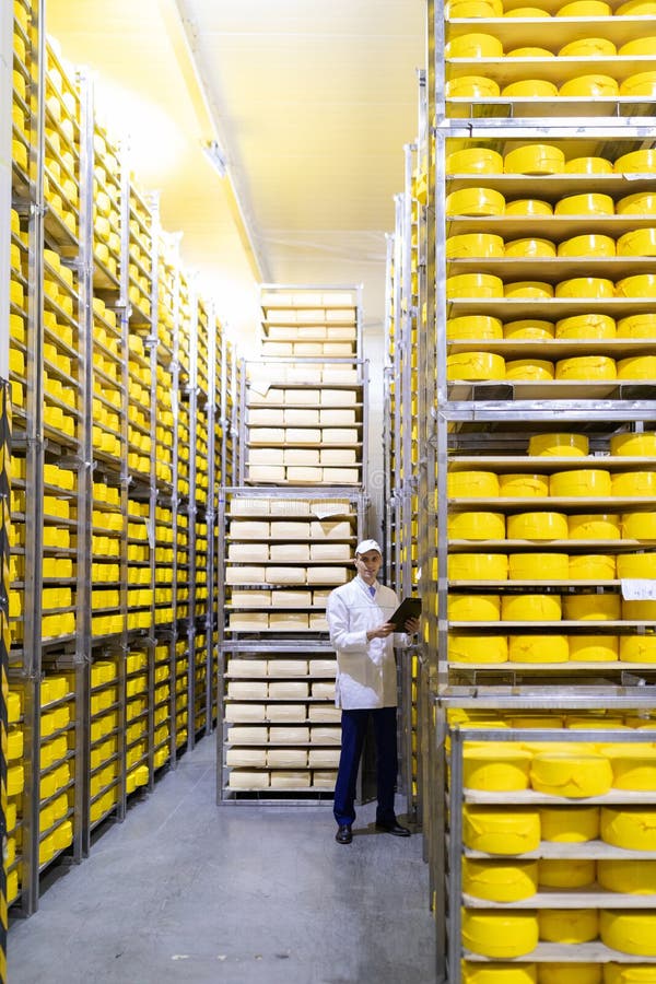 Man with a Tablet in His Hands is in a Warehouse of Cheeses Stock Photo ...