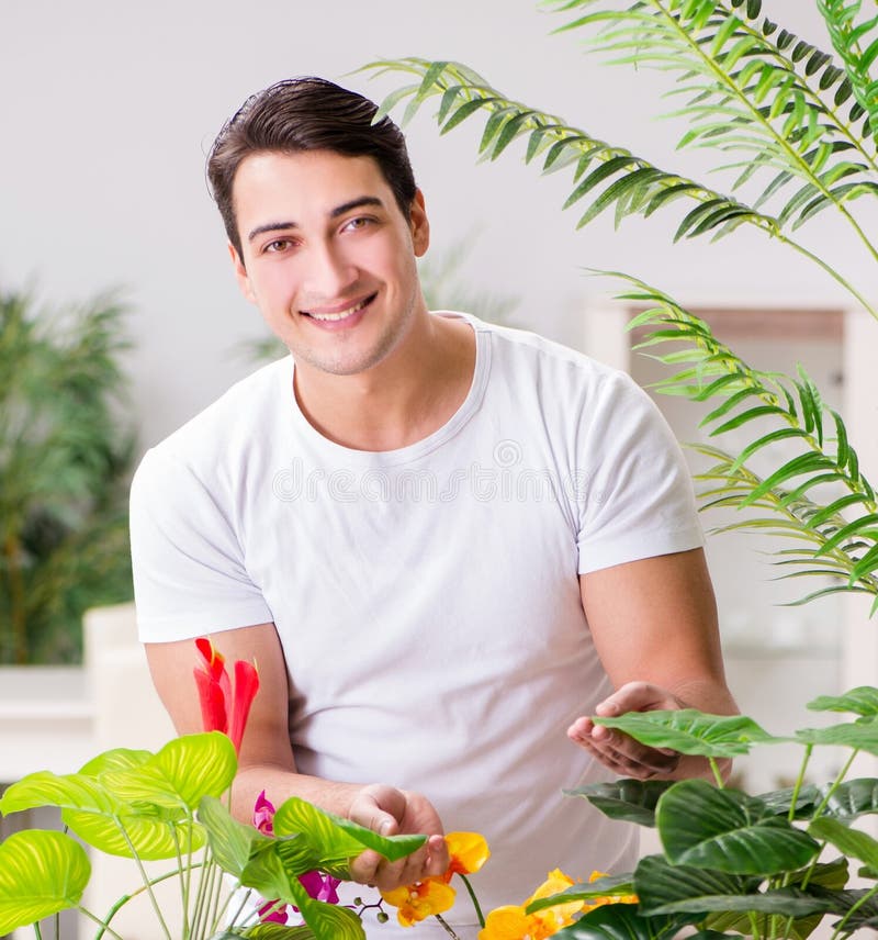 Man Taking Care of Plants at Home Stock Image - Image of holding ...