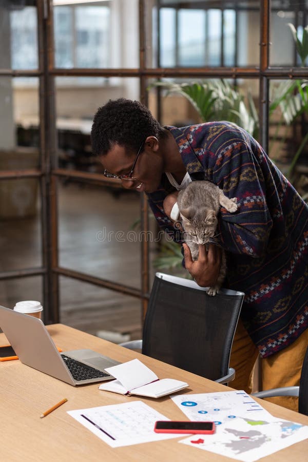 Man Taking Cat Away from His Computer Stock Photo - Image of employment ...