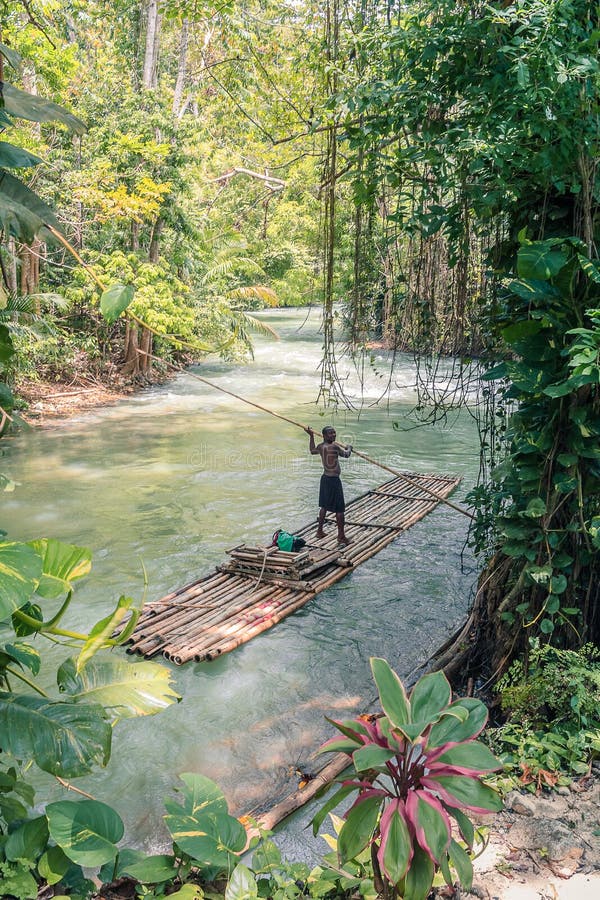 River Rafting through the Rain Forest Editorial Image - Image of ...