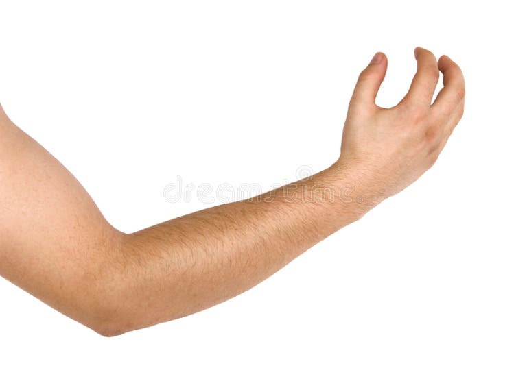 Man taking hand stock photo. Image of european, bended - 2295830