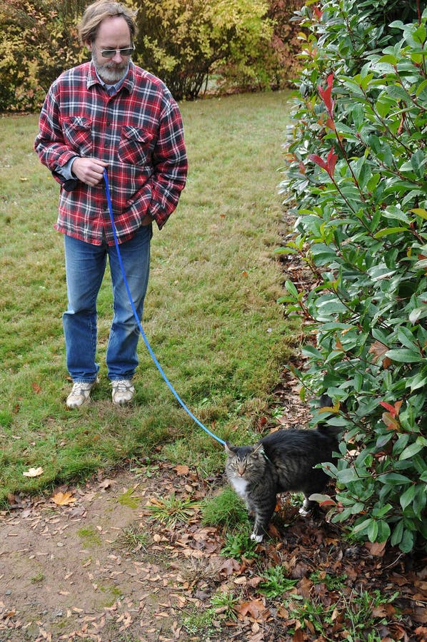 Man Taking His Cat for a Walk Stock Image - Image of animal, male: 11715403