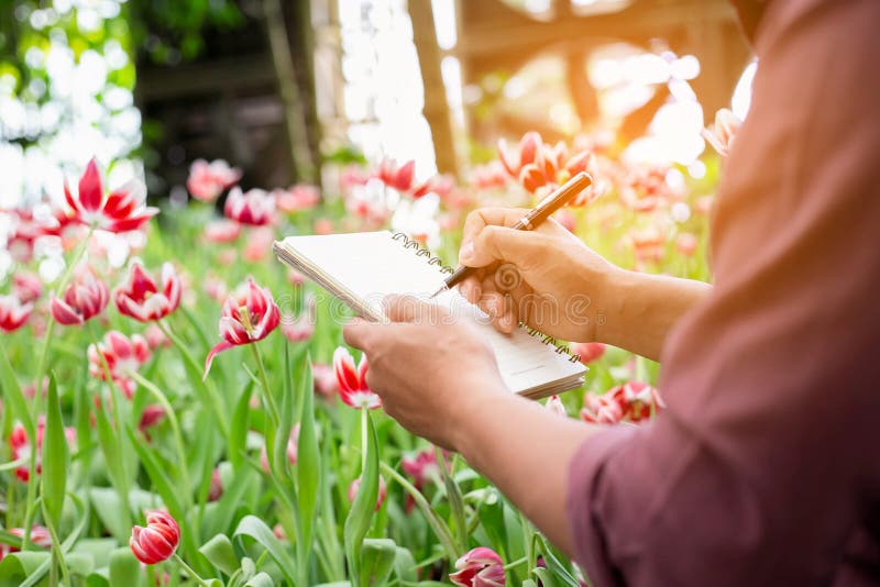 Woman Taking Notes in a White Flower Garden Stock Image - Image of ...