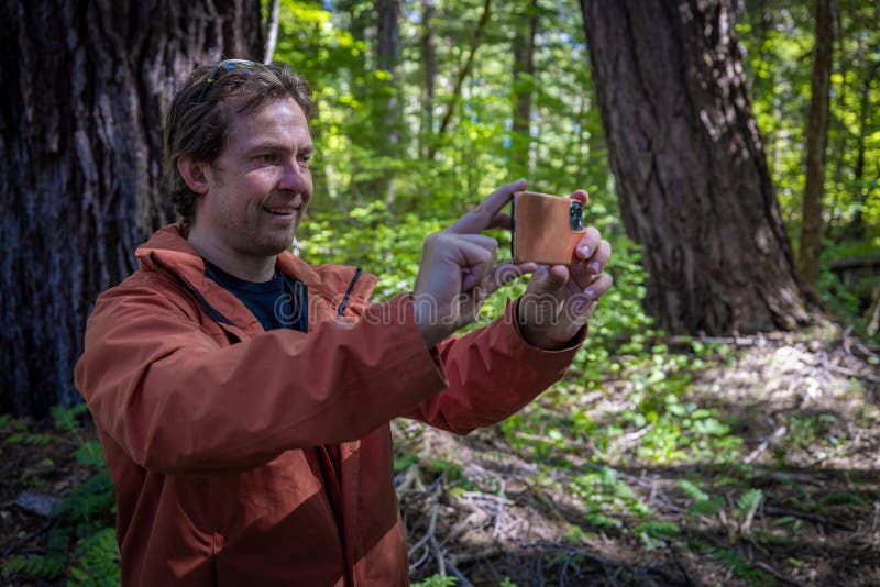 A Man is Taking a Picture of a Large Tree with a Camera Phone Stock ...