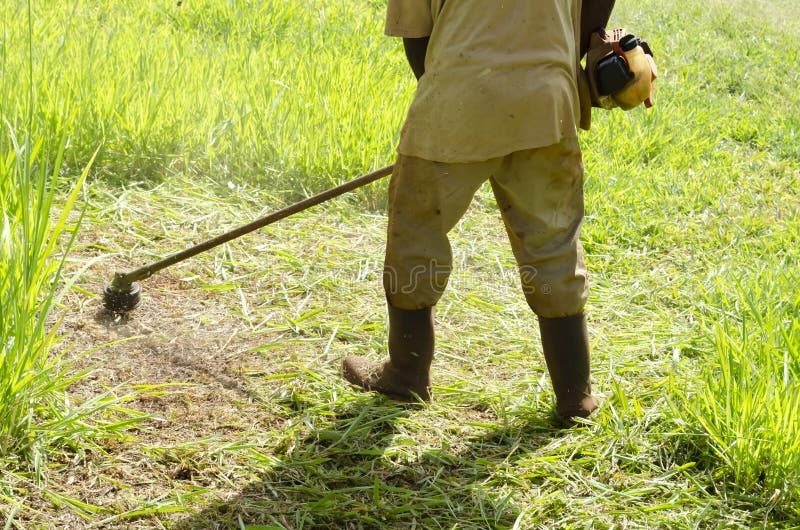 Man Whipper Snipping Stock Photos - Free & Royalty-Free Stock Photos ...