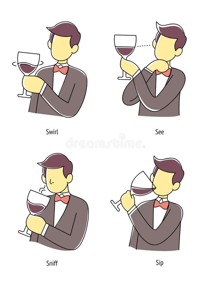 Man Taste Wine in Four Step Method, Vector Illustration Stock Vector ...