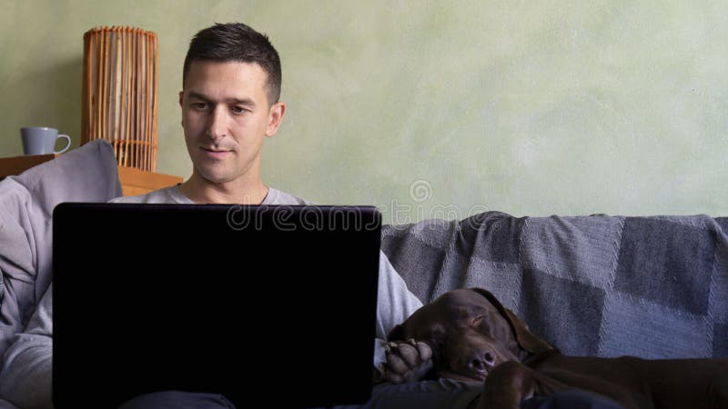 A Man is Teleworking at Home with His Dog Stock Photo - Image of people ...