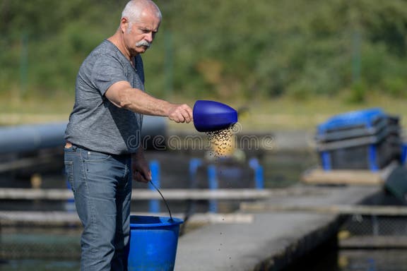 Man Throwing Fish Feeds in Pond Stock Photo - Image of aquaculture ...