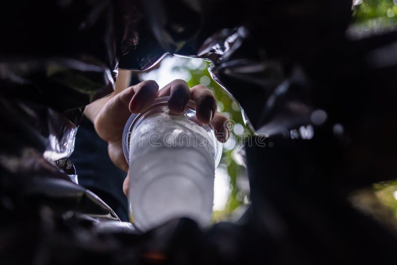 105 Man Inside Trash Bin Stock Photos - Free & Royalty-Free Stock ...