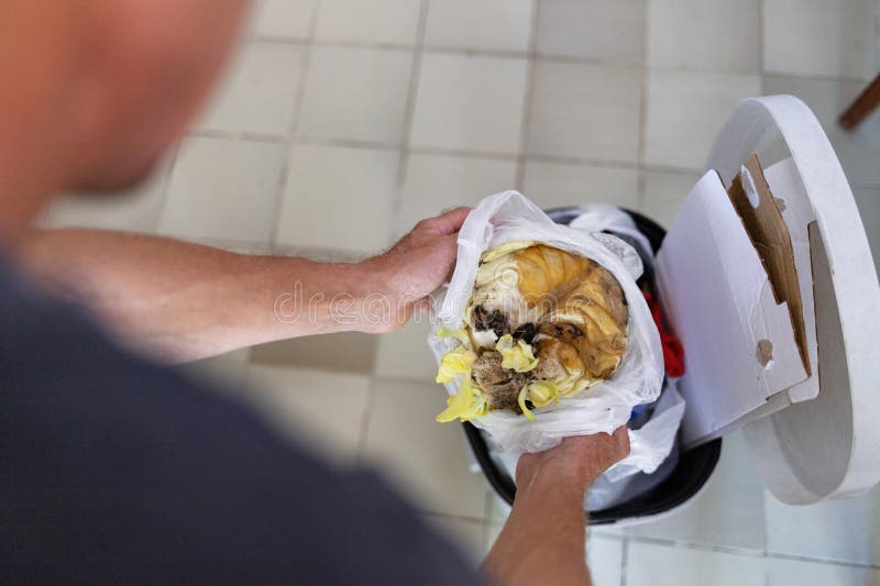 A Man Throws a Spoiled Head of Cabbage into the Trash Can Stock Image ...