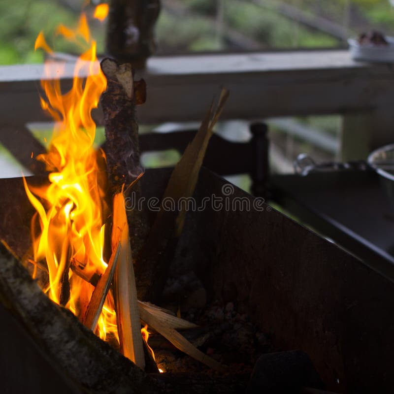 A Man Throws a Tree into the Fire Stock Photo - Image of forest, cook ...