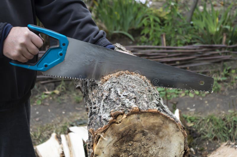 A man to cut a large log stock photo. Image of tool - 296436048