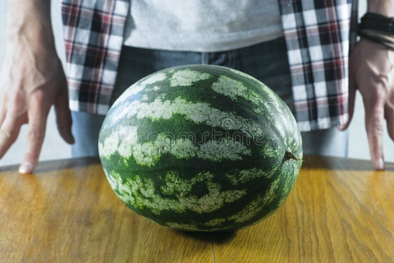 Man is Going To Cut a Watermelon on the Kitchen Table. Close-up Hands ...