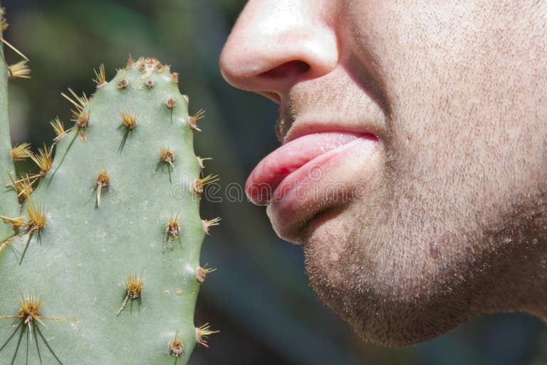 8,206 Man Eating Plant Stock Photos - Free & Royalty-Free Stock Photos ...