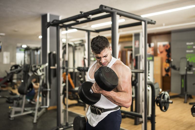 Man Training Biceps in Gym with Big Dumbbell Stock Image - Image of ...