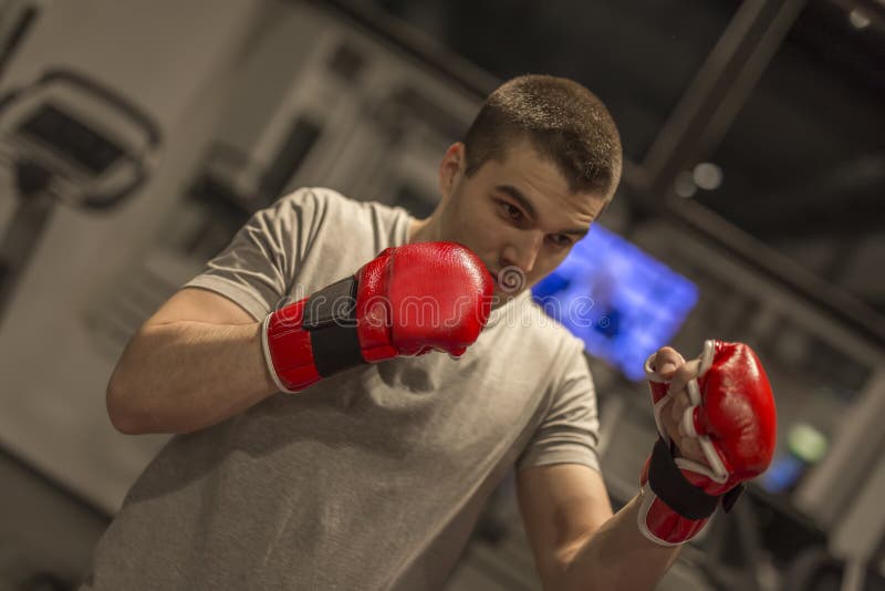 Man Training Boxing in the Gym Stock Photo - Image of sportsman ...