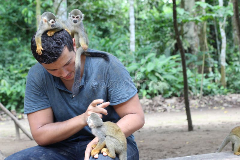 Man Training a Group of Monkeys Stock Photo - Image of mammal, amazonas ...