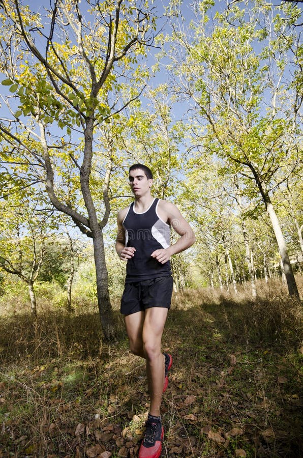 Man training in nature stock image. Image of handsome - 50552865