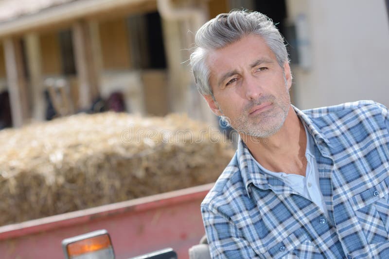 Man transporting hay stock image. Image of industry - 273523257