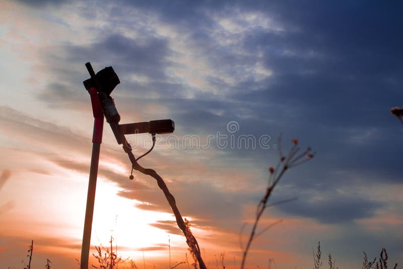 Man on a Treasure Hunt with a Metal Detector in the Woods on the Field ...