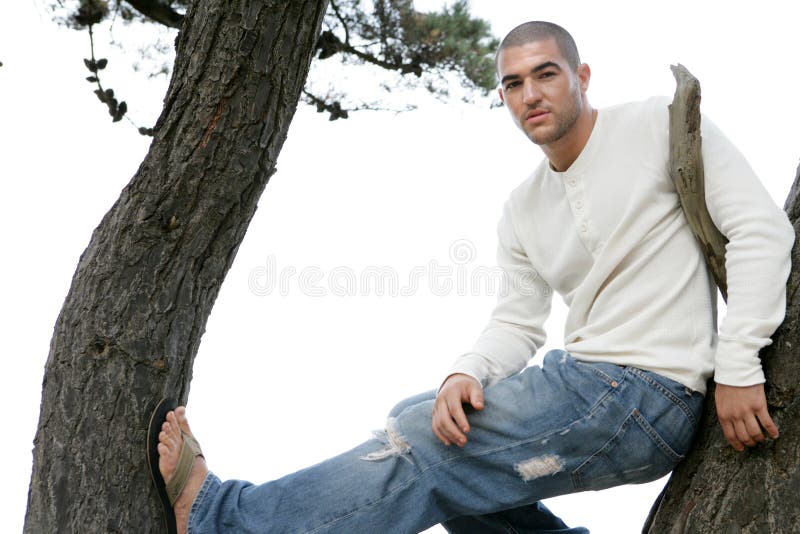 Man in tree stock photo. Image of adult, portrait, carefree - 6984098
