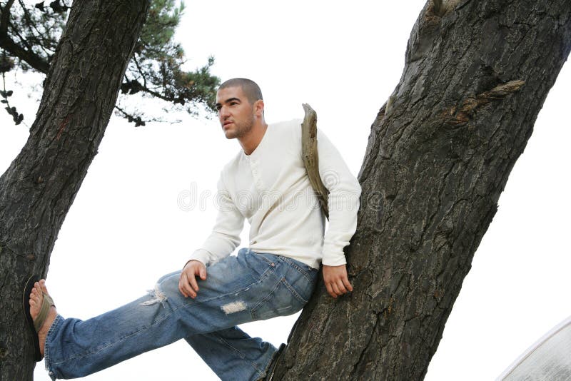 Hiding Behind Tree stock image. Image of woods, playful - 5235351