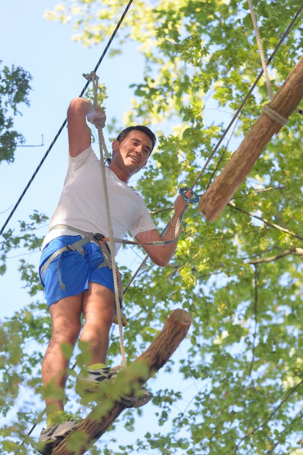 Man on Tree Adventure Experience Stock Photo - Image of balance ...
