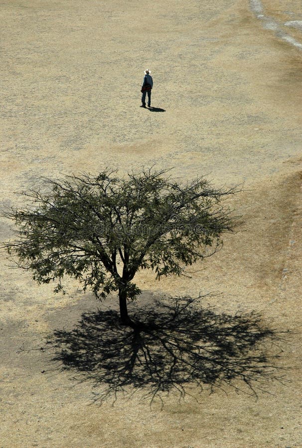 Man and tree in field stock photo. Image of lone, rural - 13503260