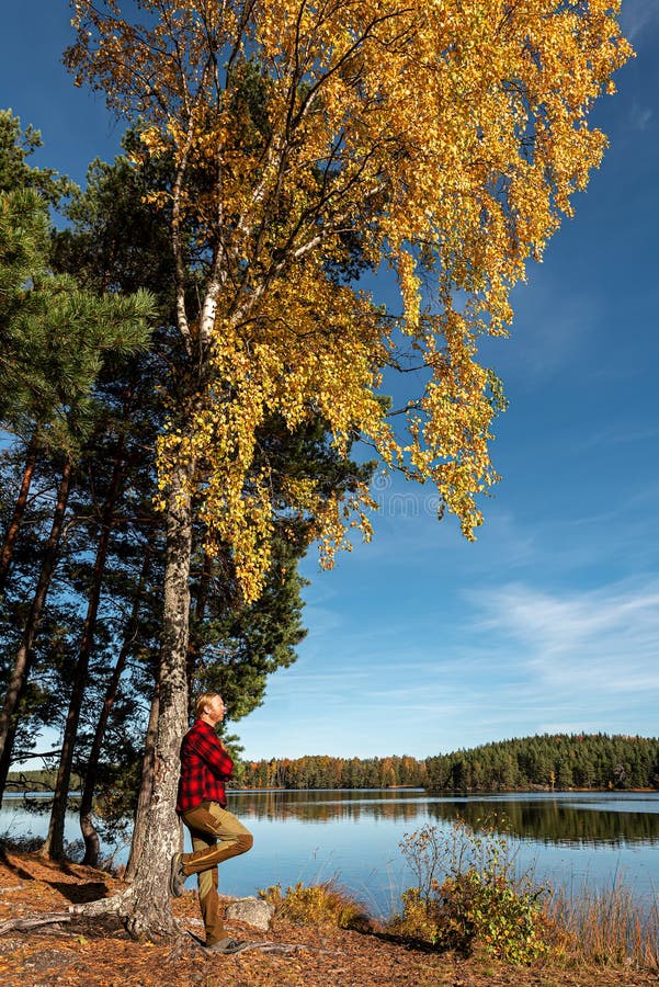 Man by tree stock image. Image of leisure, relaxation - 259527937