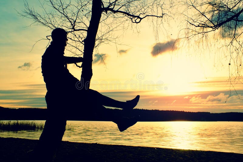 Man on Tree. Silhouette of Lone Man Sit on Branch of Birch Tree at ...