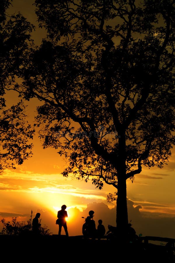 Man and tree silhouette stock image. Image of sunset - 39106403