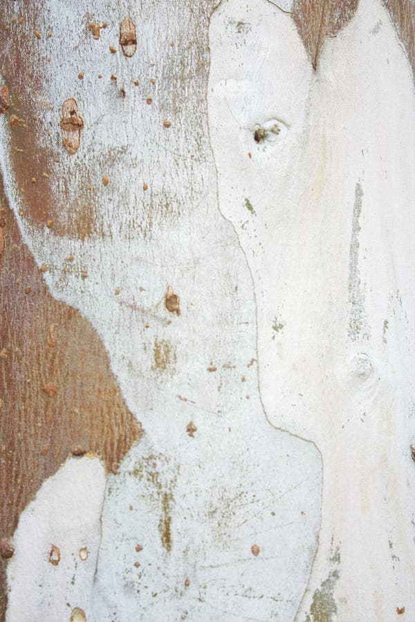 Man in tree stock image. Image of imagine, texture, design - 76373109