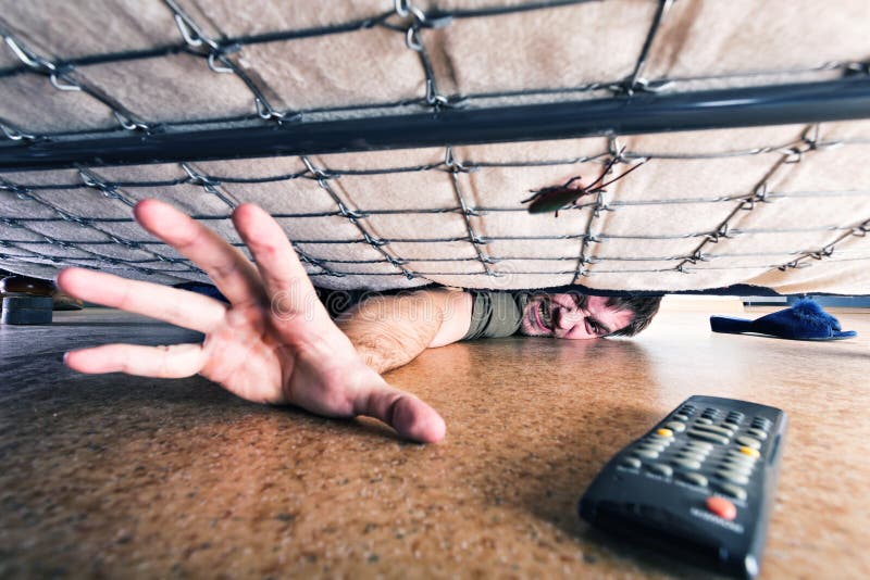 Reaching Under Sofa Stock Photos - Free & Royalty-Free Stock Photos ...