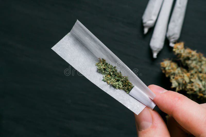 The Man Rolled the Joint with the Weed of Cannabis, Top View, Close Up ...