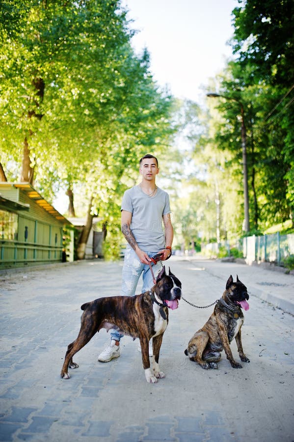 Man with Two Dogs Pit Bull Terrier on a Walk. Stock Image - Image of ...