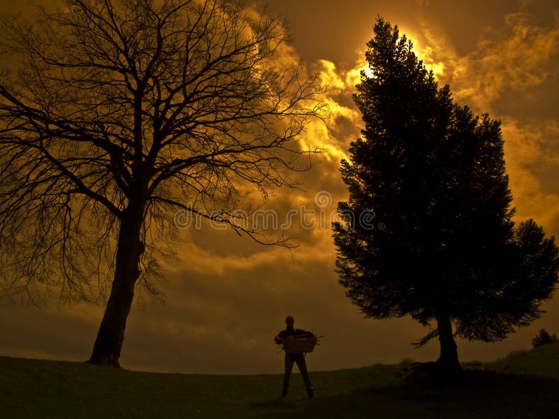 A man and two trees stock image. Image of openair, open - 5441045