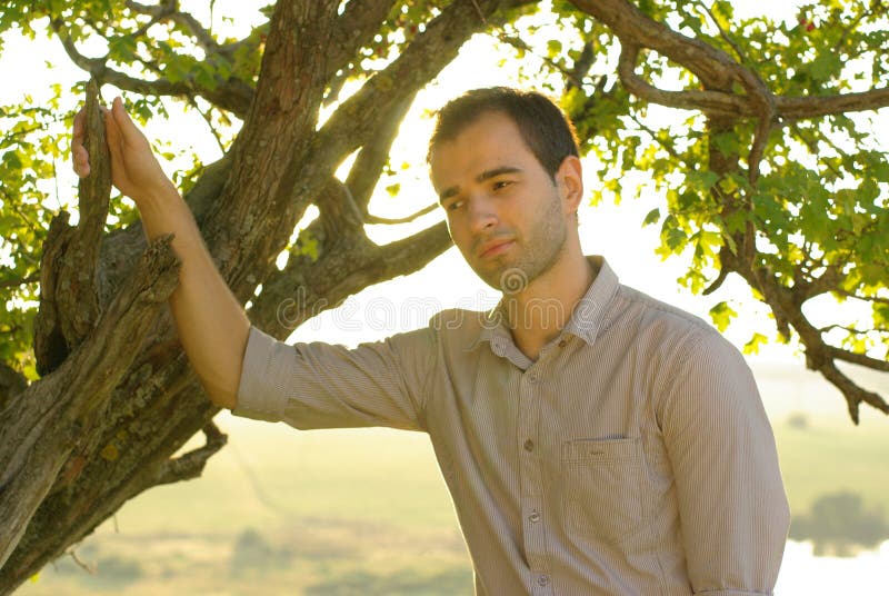 Guy Under Tree Field Stock Photos - Free & Royalty-Free Stock Photos ...