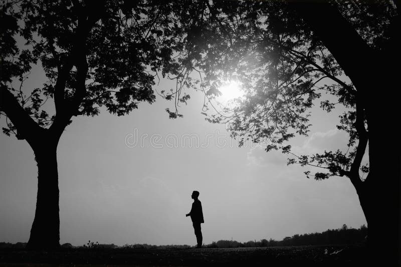 A man under trees stock image. Image of like, trees, love - 60507769
