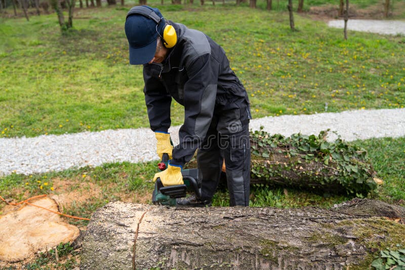A Man in Uniform Cuts an Old Tree in the Yard with an Electric Saw ...