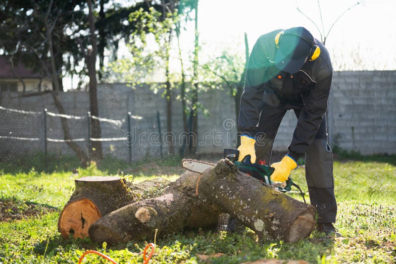 A Man in Uniform Cuts an Old Tree in the Yard with an Electric Saw ...