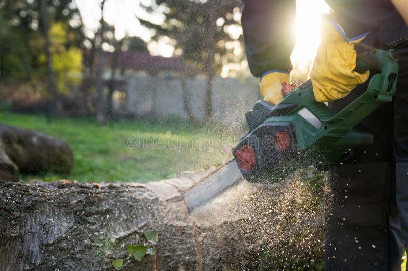 A Man in Uniform Cuts an Old Tree in the Yard with an Electric Saw ...