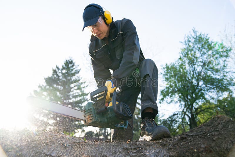 A Man in Uniform Cuts an Old Tree in the Yard with an Electric Saw ...