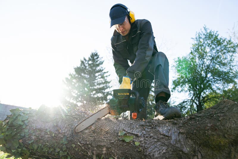 A Man in Uniform Cuts an Old Tree in the Yard with an Electric Saw ...