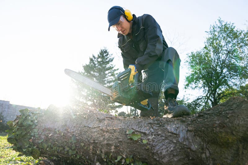 A Man in Uniform Cuts an Old Tree in the Yard with an Electric Saw ...