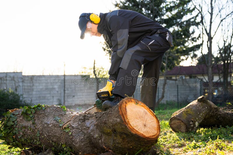A Man in Uniform Cuts an Old Tree in the Yard with an Electric Saw ...