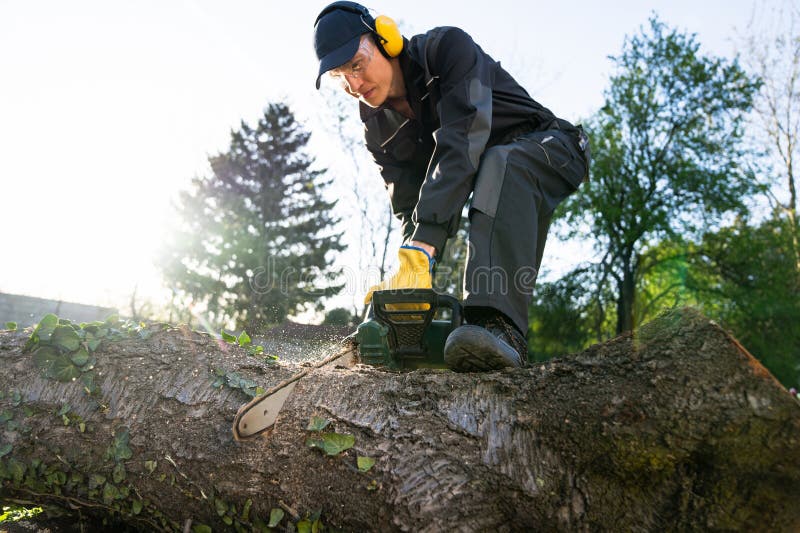 A Man in Uniform Cuts an Old Tree in the Yard with an Electric Saw ...