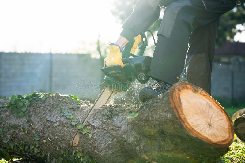 A Man in Uniform Cuts an Old Tree in the Yard with an Electric Saw ...