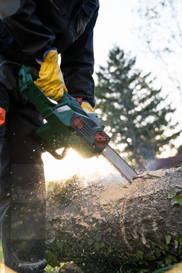 A Man in Uniform Cuts an Old Tree in the Yard with an Electric Saw ...